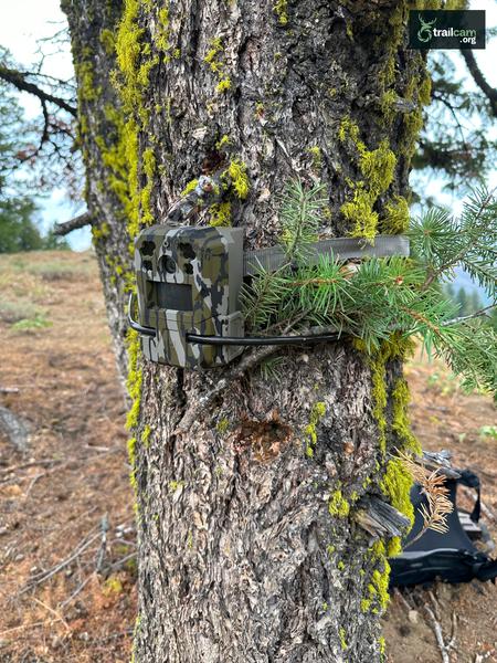 Moultrie Mobile EDGE Pro Review and Ratings