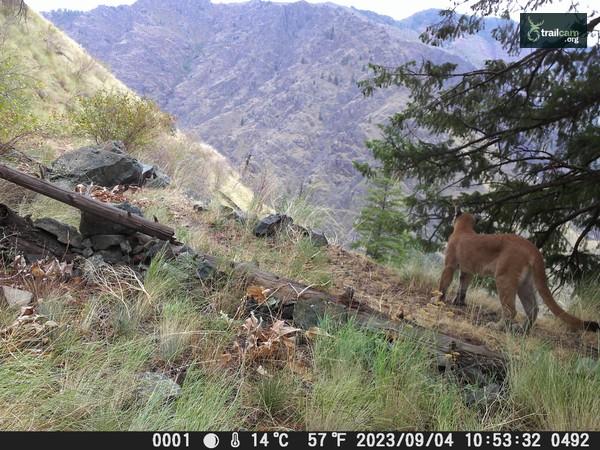 TrailCam.org Home Page