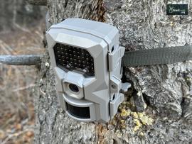 Rigdoo HT-10 Review and Ratings